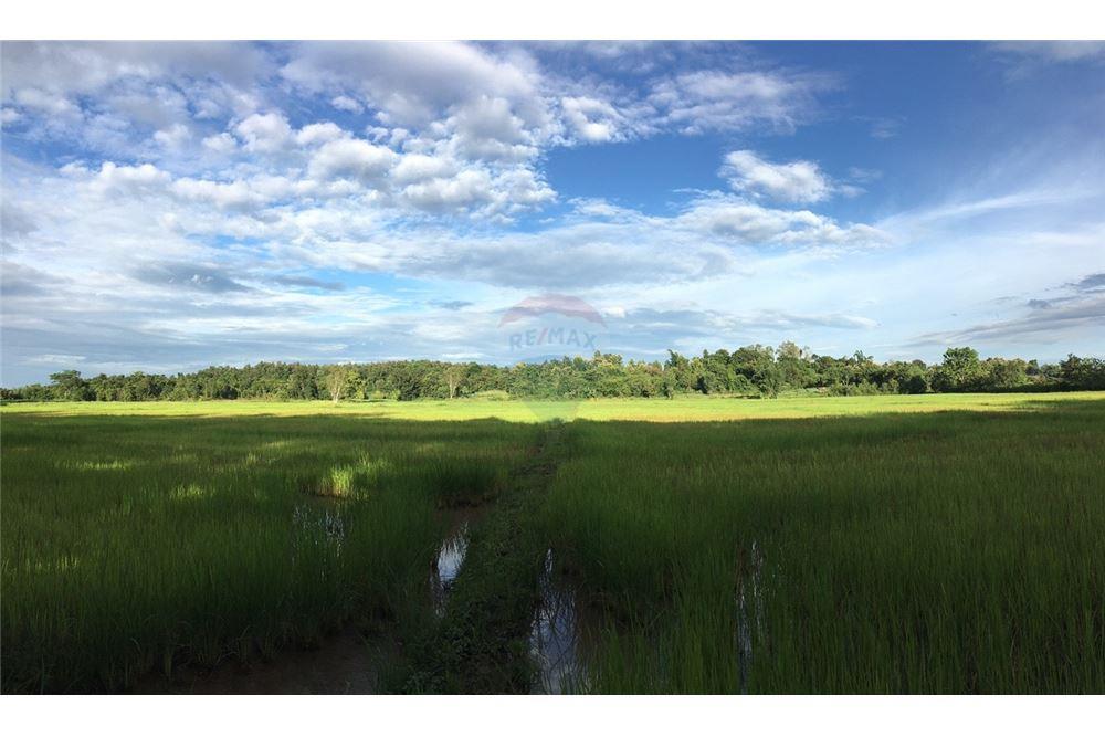 Chiang Rai House for Sale & House for Rent - Condo for sale and rent ...